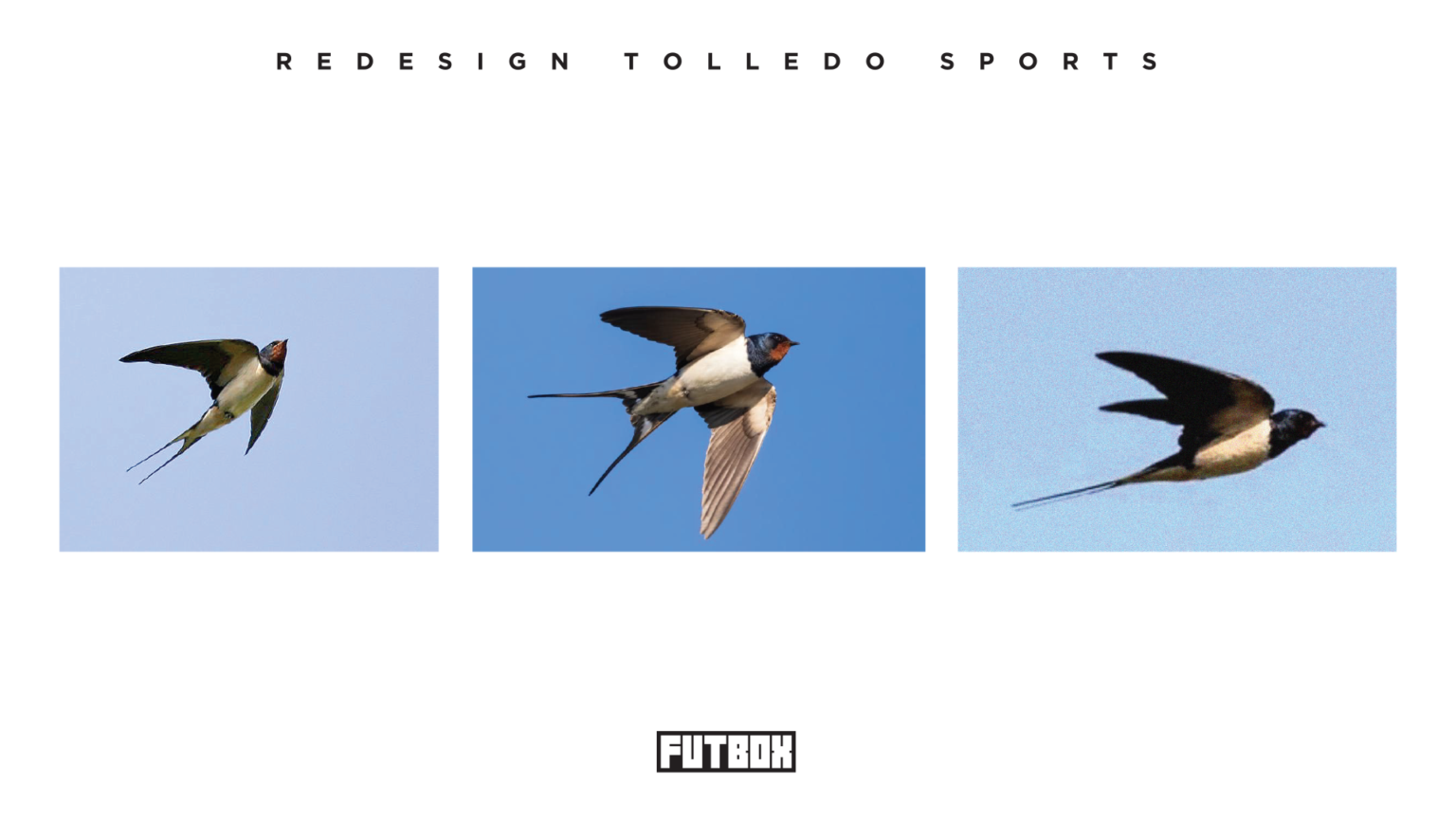 Todos os Detalhes da Nova Marca Tolledo Sports