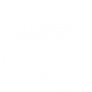 NEW ZEALAND - New Zealand national football team