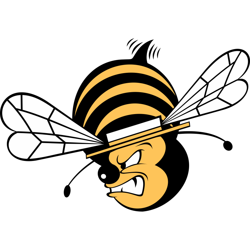 CHICAGO STING, 43% OFF | www.pinnaxis.com