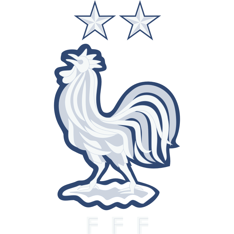 Veja a evolução dos escudos do França