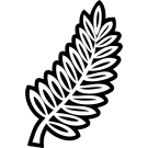 NEW ZEALAND - New Zealand national football team