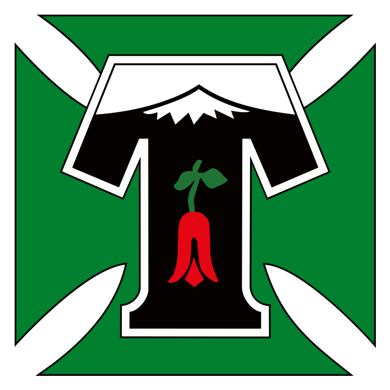 CLUB DEPORTES TEMUCO